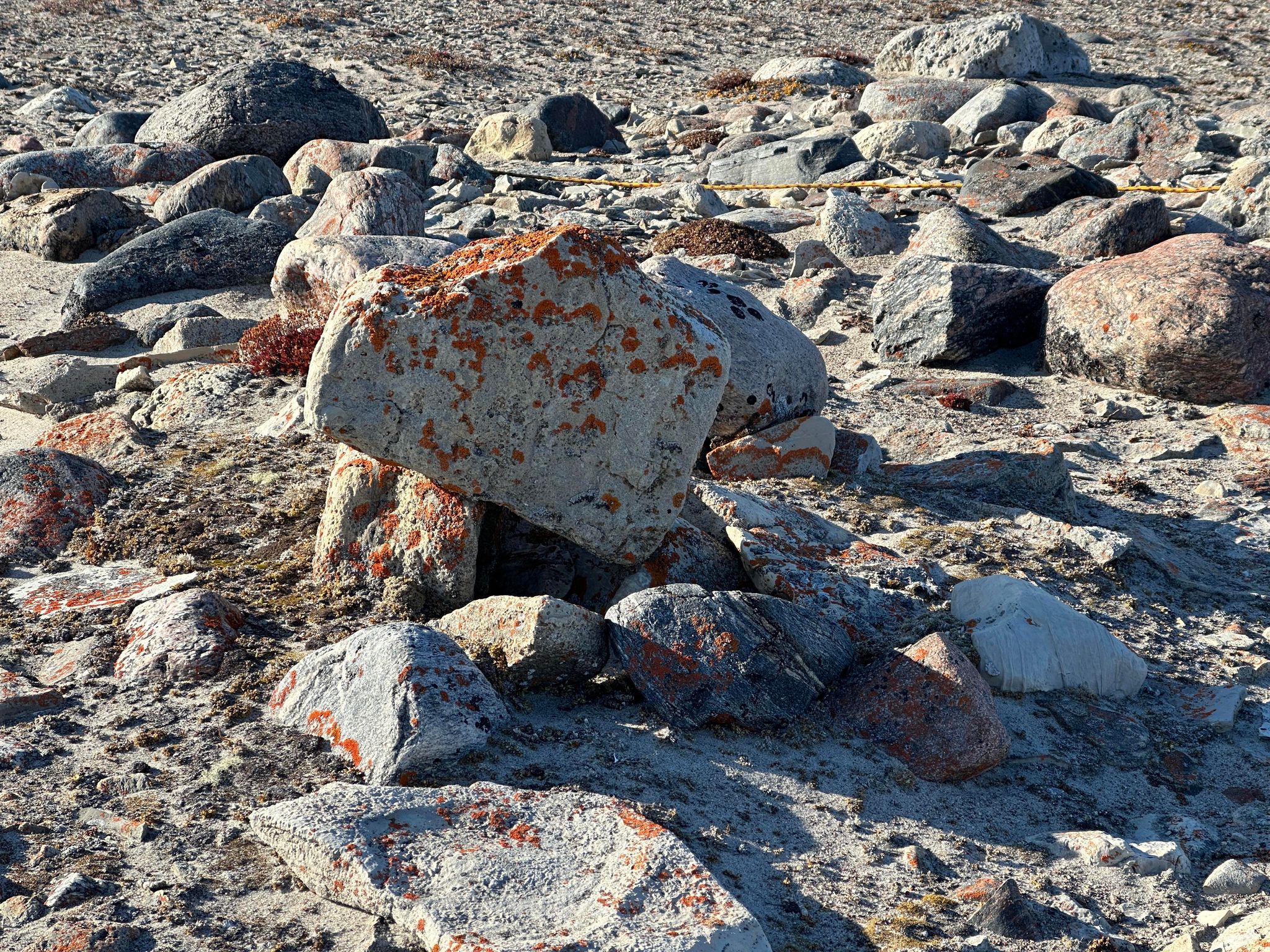 NWP voyagers visit John Rae Plaque | Ken McGoogan